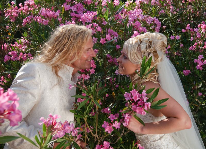 Newly Wedded Couple in the Park Stock Image - Image of coiffure, couple ...