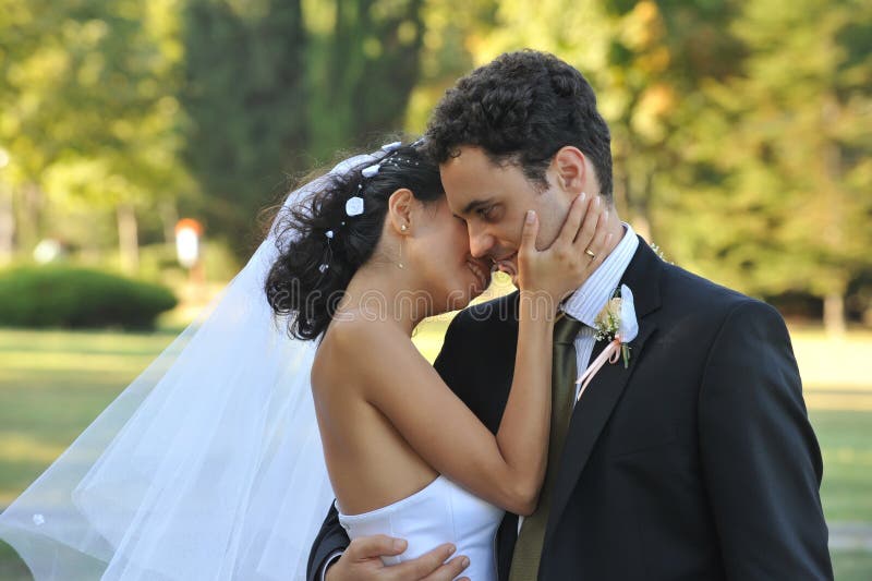 Newlyweds stock image. Image of colors, happy, attractive - 16810403