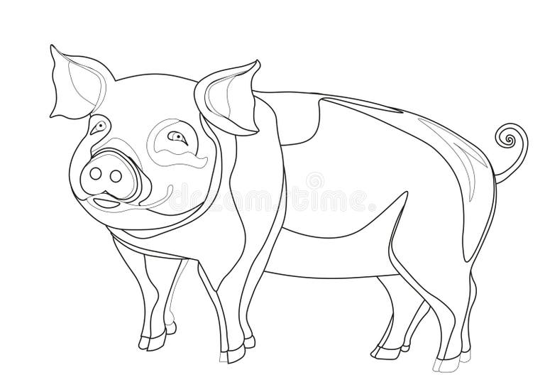 Pig Line Drawing Vector Illustration Stock Illustration - Illustration ...