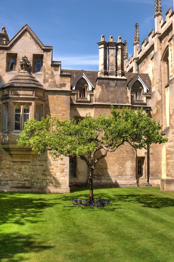 Newton s Apple tree stock photo. Image of cambridge, apple - 22032266