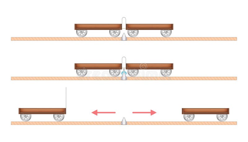 Newton S Law of Motion. Dynamics of Motion. Template of Mechanical ...