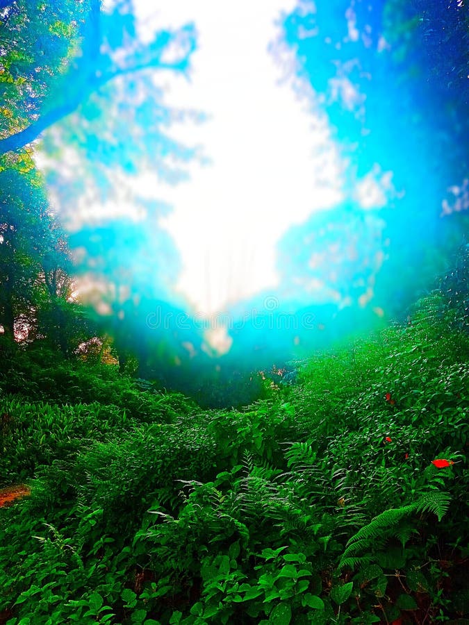 Next Time You Will Be Making Stock Photo - Image of making, time: 161426548