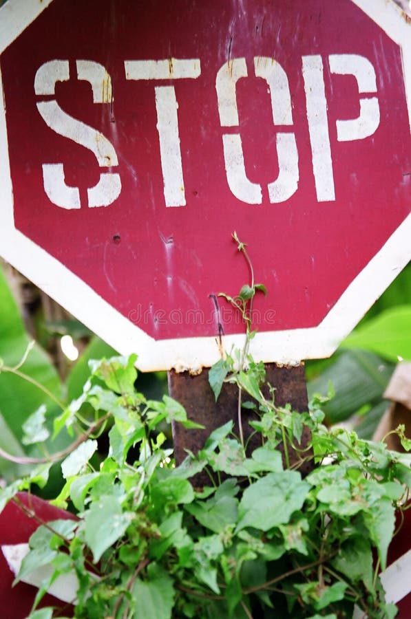 STOP Sign in the Jungle stock photo. Image of dirty, grass - 30068548