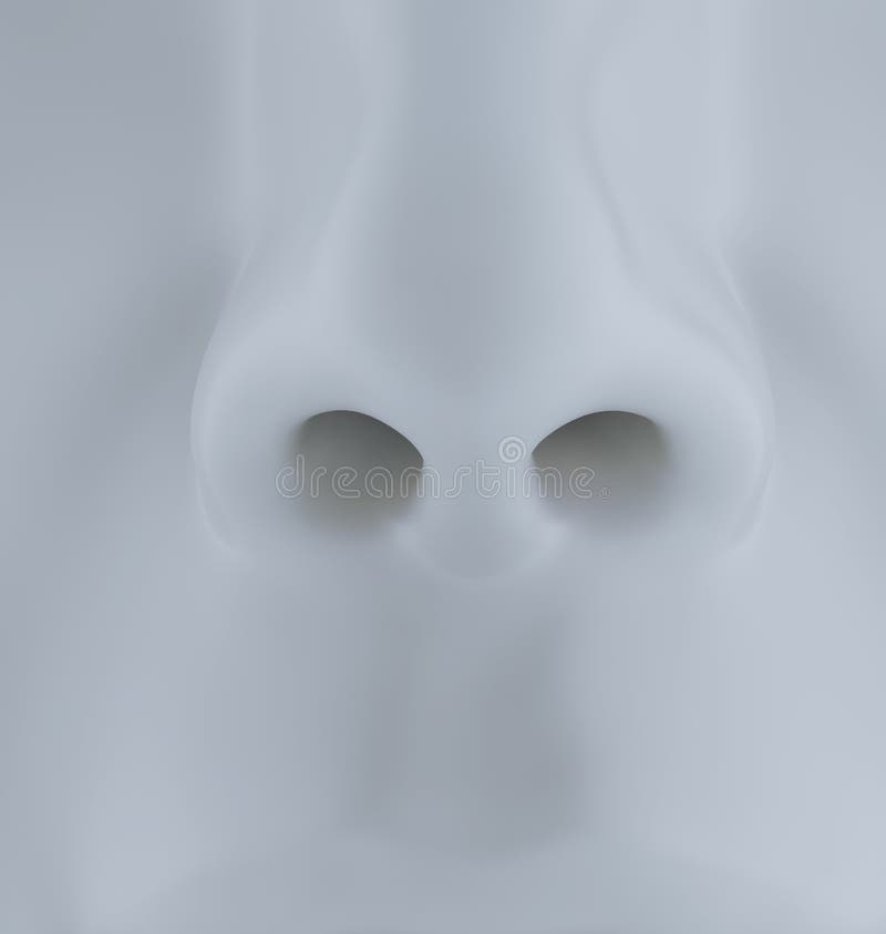 Petit nez plat photo stock. Image du aérodrome, passager - 33536748