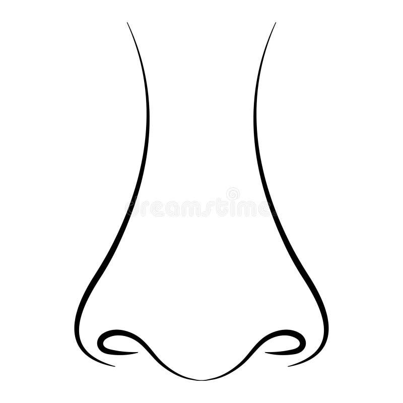 Nez Humain Outline Front View Anatomie Orgue Du Corps Du Visage Nez ...