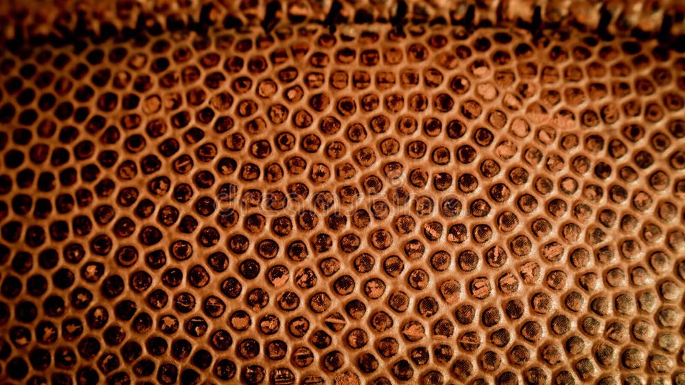 NFL ball part, close stock photo. Image of texture, light - 64986138