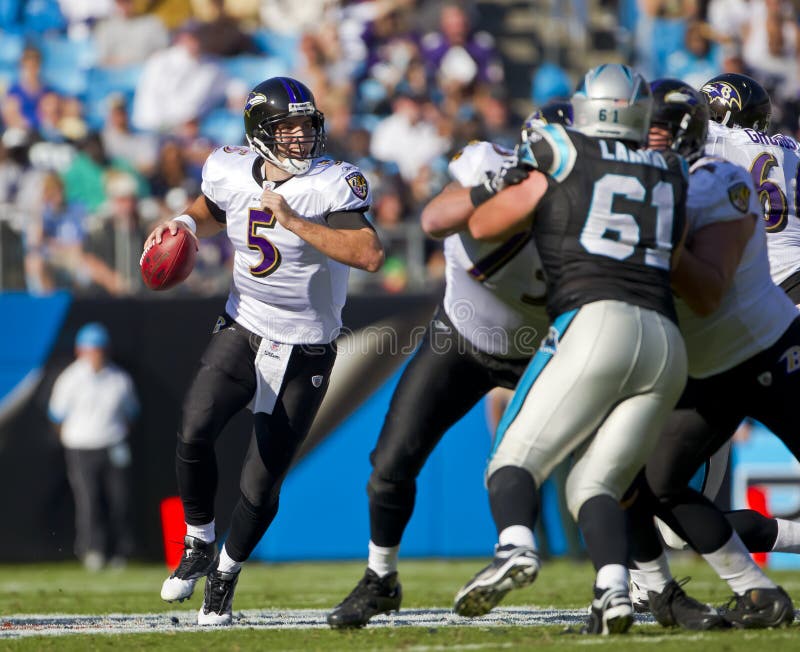 NFL: Nov 21 Baltimore Ravens Vs Carolina Panthers Editorial Photo ...