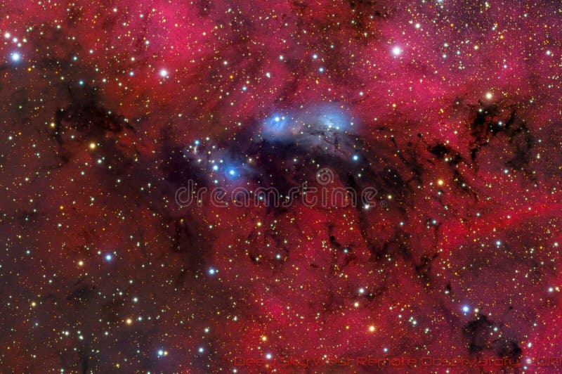 Intersteller Pigs Stock Photos - Free & Royalty-Free Stock Photos from ...