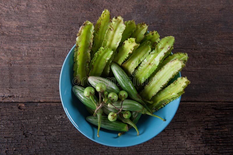 Nged Bean Stock Photos - Free & Royalty-Free Stock Photos from Dreamstime