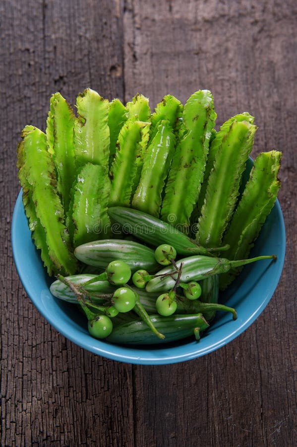 Nged Bean Stock Photos - Free & Royalty-Free Stock Photos from Dreamstime