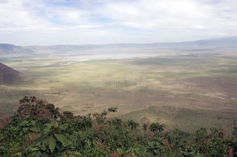 Ngorongoro Crater stock image. Image of animal, park - 19692375
