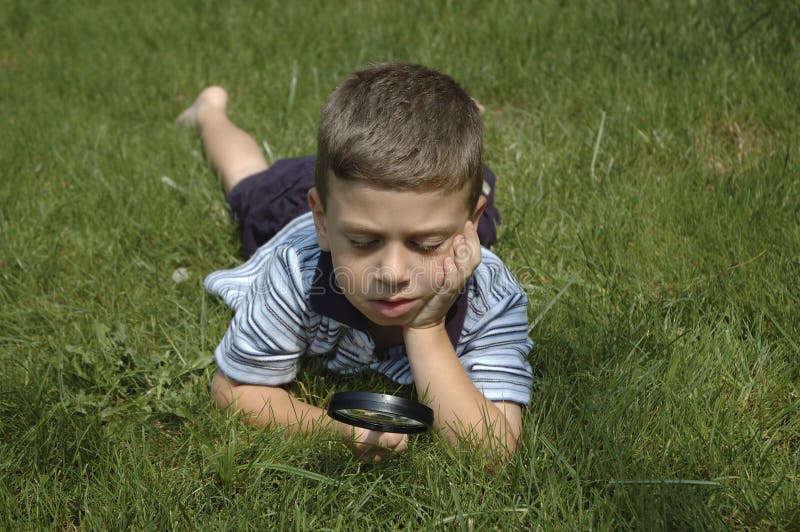 Niño Observando La Naturaleza Imagen de archivo - Imagen de yarda ...