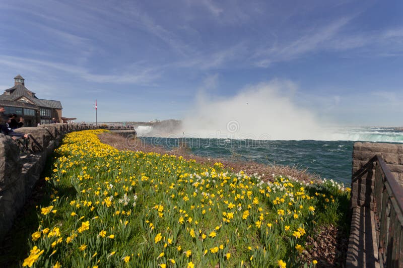 Niagara Falls and flowers stock image. Image of ontario - 122652175
