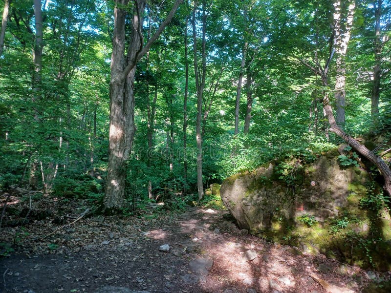 Niagara Glen Trail Forest View Stock Image - Image of trees, trip ...