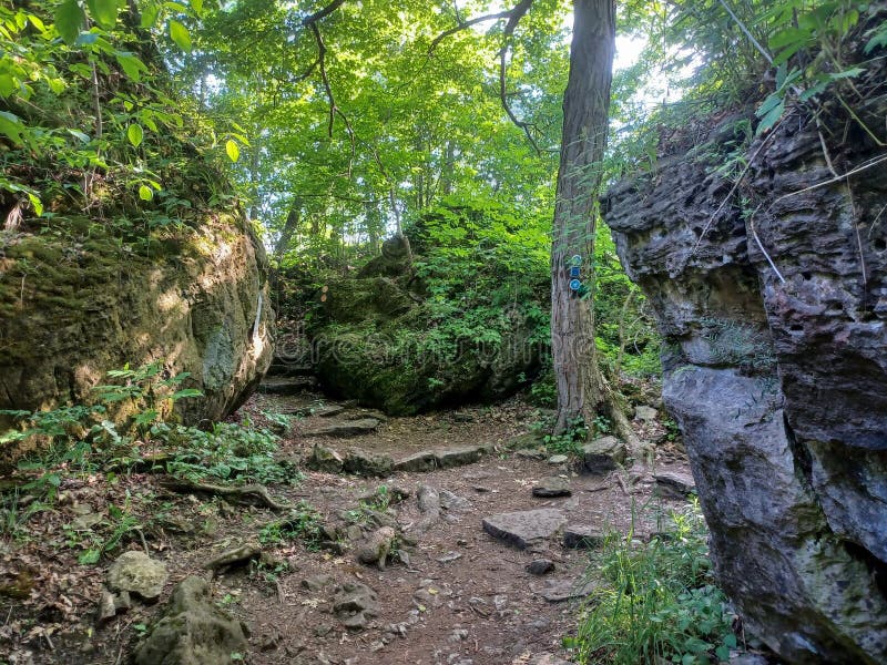 Niagara Glen Trail Forest View Stock Photo - Image of tourism, plant ...