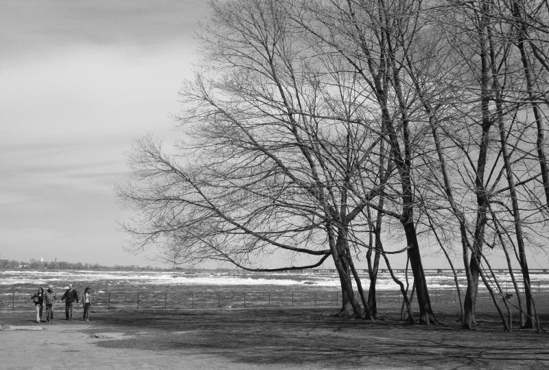 Niagara River stock image. Image of niagara, tree, nature - 3531813