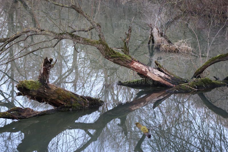 Nibble fun stock image. Image of landscapes, monsters - 366362337