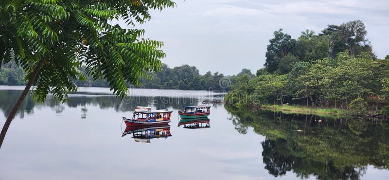 Afternoon in Nibung Lake, Mukomuko, Sumatera Editorial Stock Photo ...