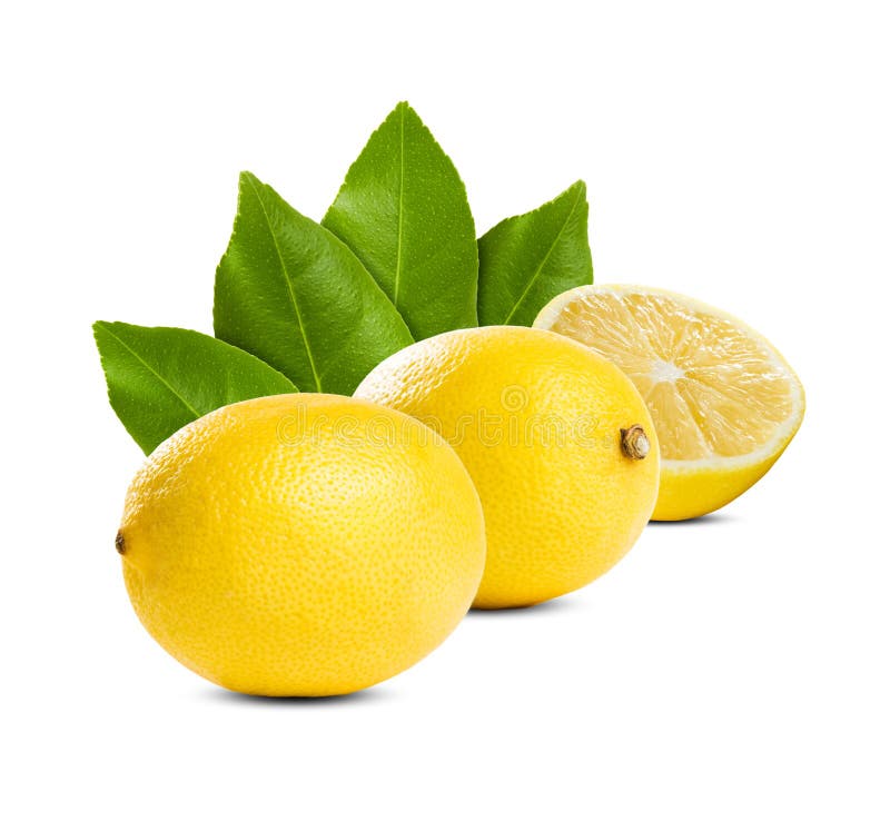 Lemons on Leaves stock photo. Image of three, isolated - 1712030