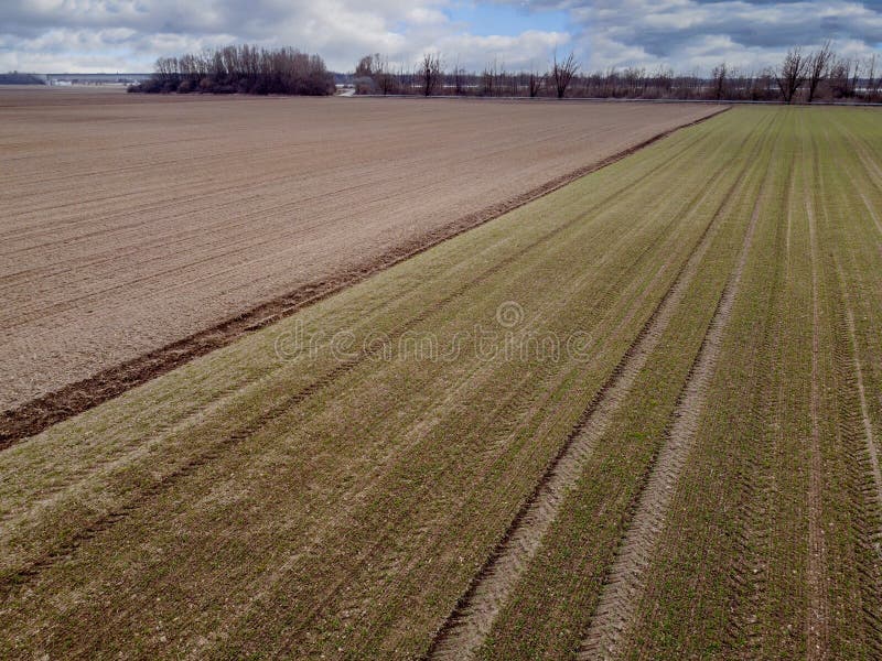 Agricultural Field in Bavaria Photographed in Daylight Stock Image ...