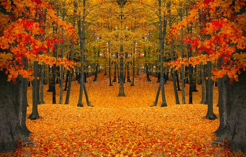 Autumn Composition. Face To Face Red Trees Stock Image - Image of ...