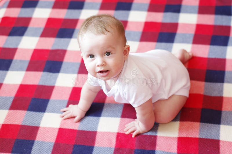 Nice Baby Age of 7 Month Learns To Creep Stock Image - Image of small ...
