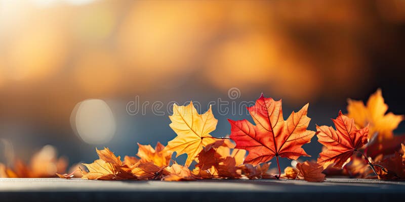 Nice Background for Autumn and Fall Concept. Stock Illustration ...