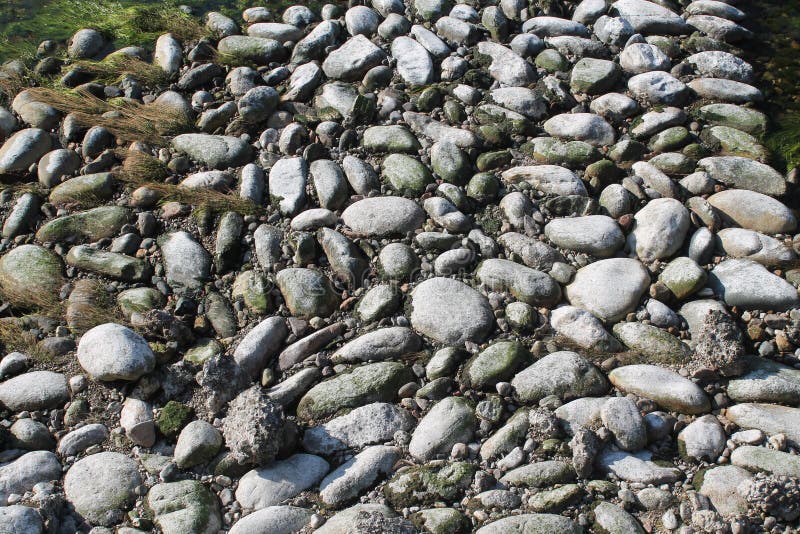 Nice Background Image of Pebbles, Round Rocks Texture Stock Photo ...