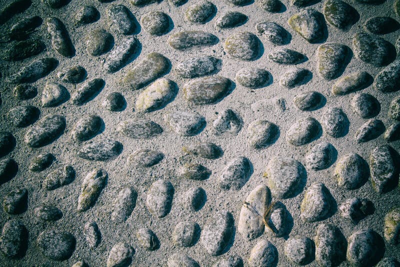 Image of Pebbles with Tiny Crabs. Pebbles from the Peruvian Beach Stock ...