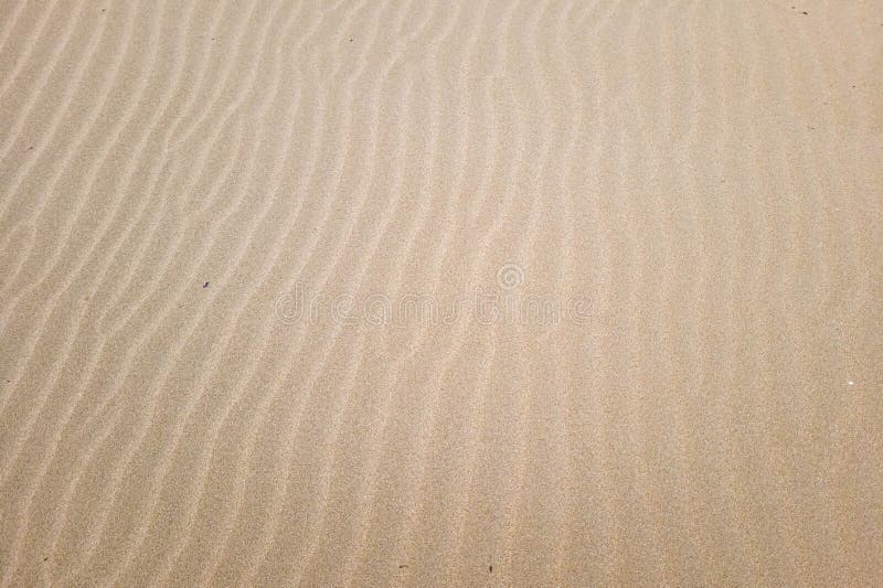 Nice Background of Sand on the Beach Stock Image - Image of holiday ...