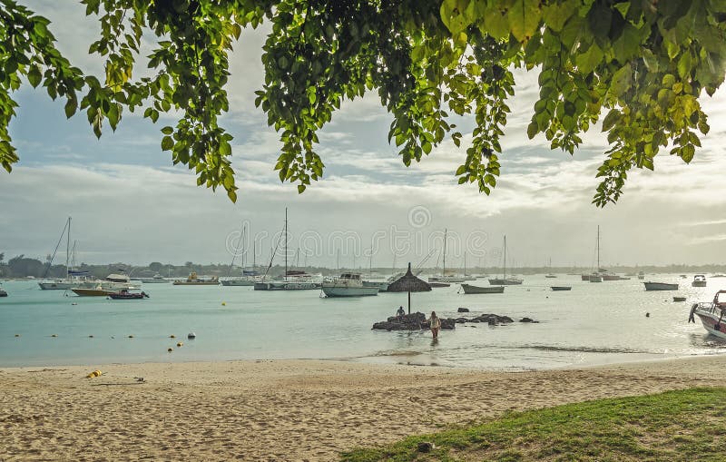 Nice Beach of the Grand Bay Editorial Stock Image - Image of beach ...