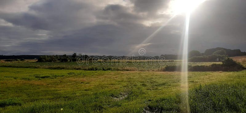 A nice beam of light stock photo. Image of nature, morning - 229056348