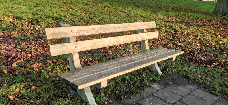 A nice bench in the park stock photo. Image of plant - 205461520
