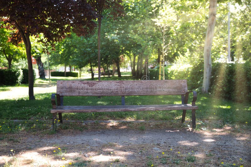 Nice Bench in a Park on a Sunny Day. Stock Image - Image of garden ...