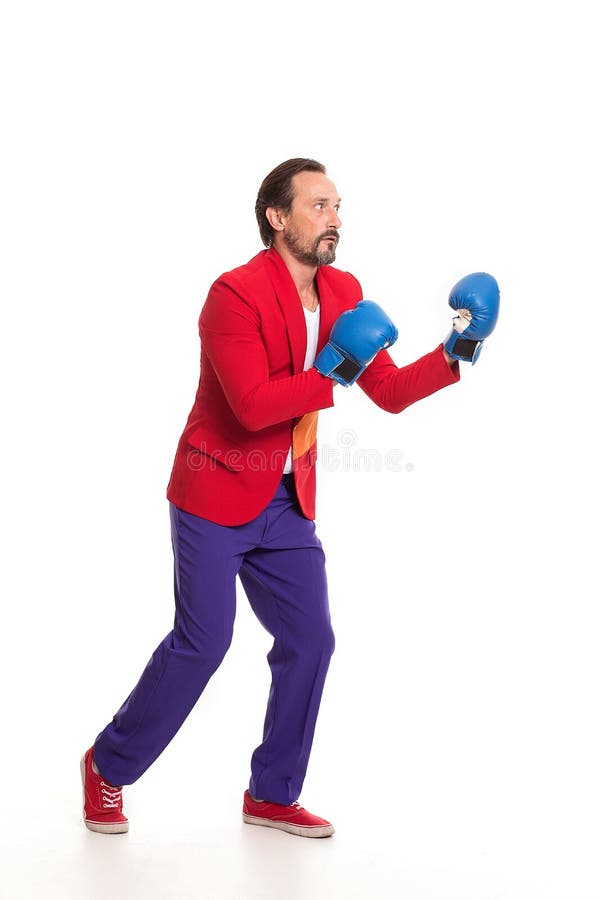 Boxer Standing Half Turn Stock Photos - Free & Royalty-Free Stock ...