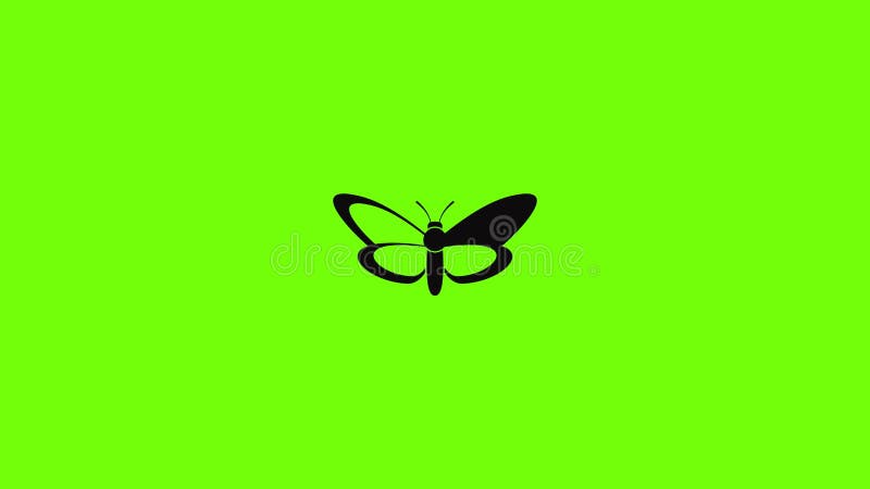 Butterfly Icon Loop Animation Video Transparent Background with Alpha ...
