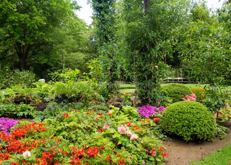 Beautiful garden ai stock illustration. Illustration of vegetation ...