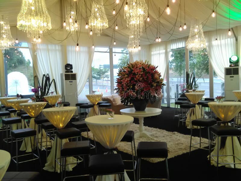 Party 2 editorial stock image. Image of party, nice - 138466604