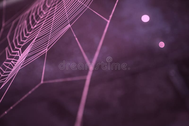 Nice colored cobweb stock image. Image of dark, netting - 48547383