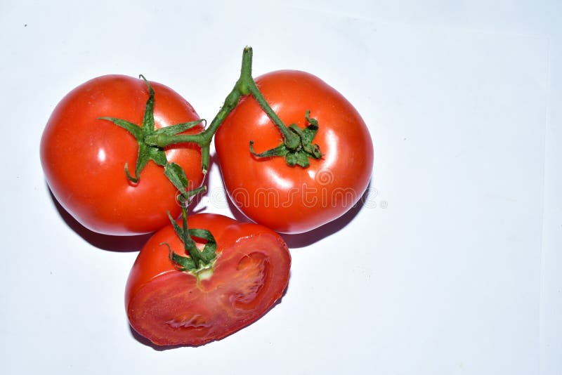 Nice Tomatoes Close Up in the Sunshine Stock Photo - Image of plants ...