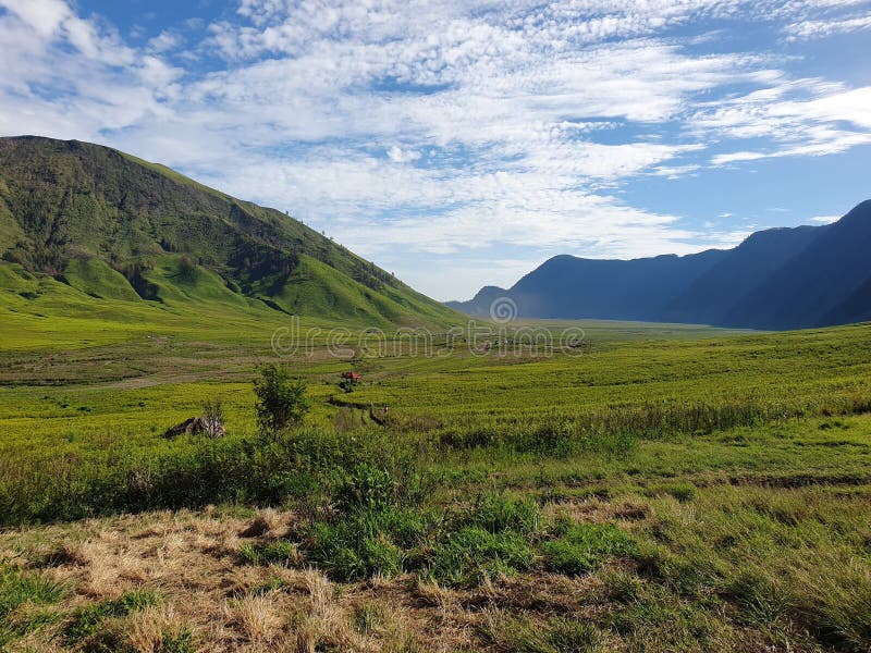 Cool View of the Forest in the Afternoon Stock Photo - Image of ...