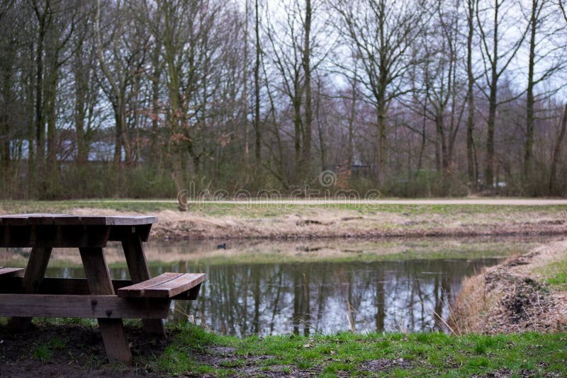 Picnic Table Bench in the Forest Nature Grass Trees Water Stock Image ...