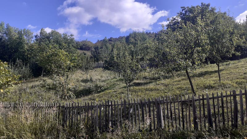 Nice Countryside Garden from Romania Stock Image - Image of flower ...