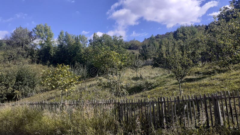 Nice Countryside Garden from Romania Stock Image - Image of flower ...