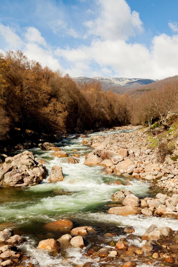 Nice River With Clear Water Stock Image - Image of jungle, cool: 47061965