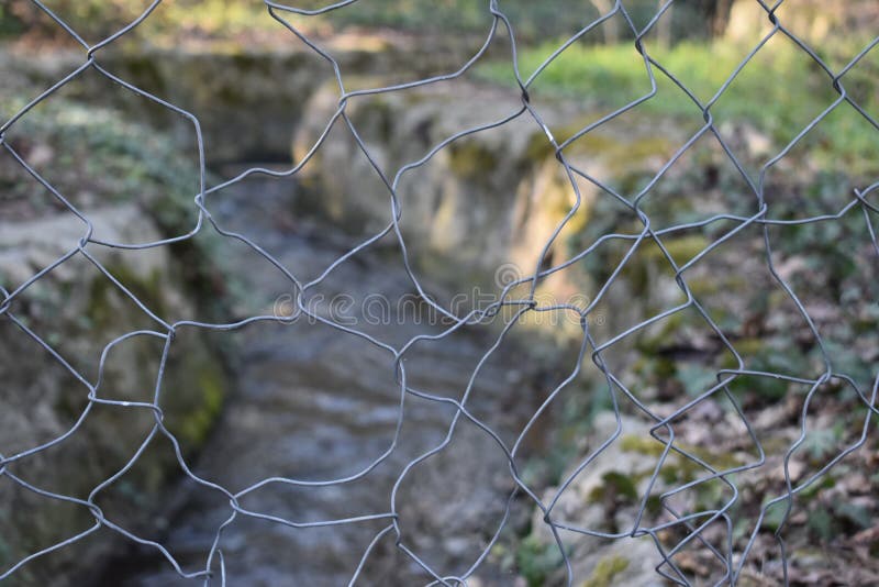 Wire in Front of the Creek. Stock Photo - Image of green, brook: 177312790