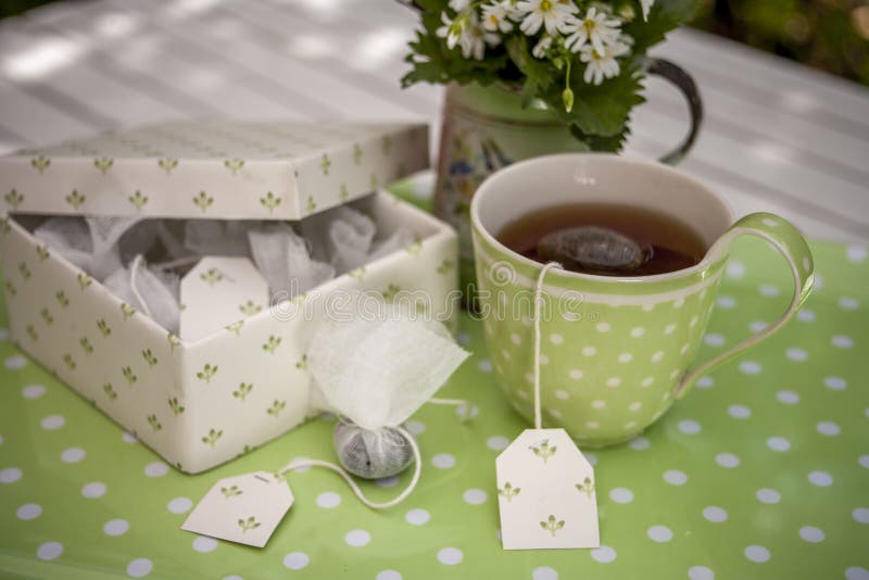 Nice cup of tea stock photo. Image of cream, herb, group - 74237586