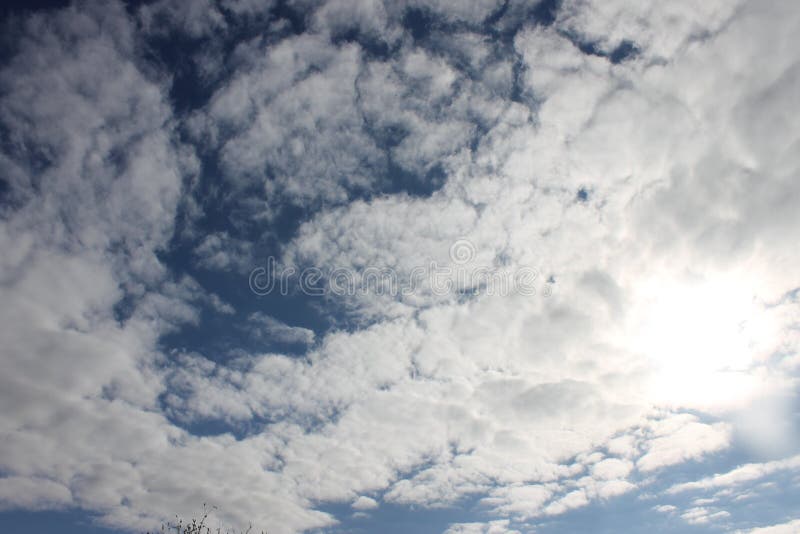 Nice day nature light sun stock photo. Image of fuit - 108128420