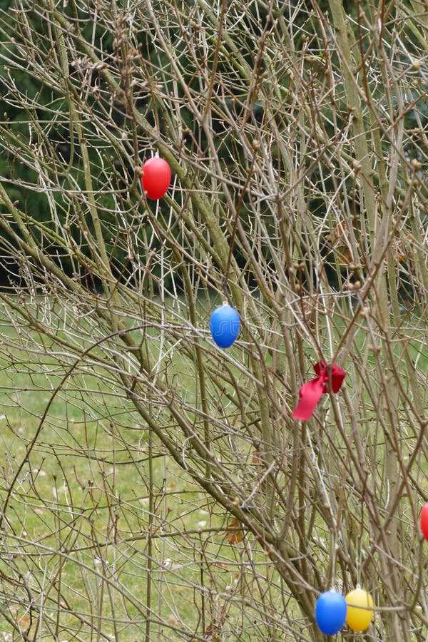 Easter egg shrub stock photo. Image of nice, decorated - 113619646