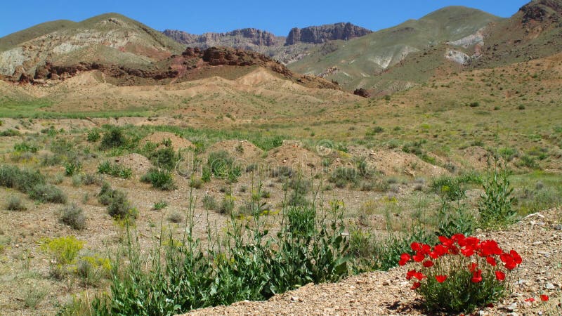 Nice Desert stock image. Image of dream, asia, desert - 25040169